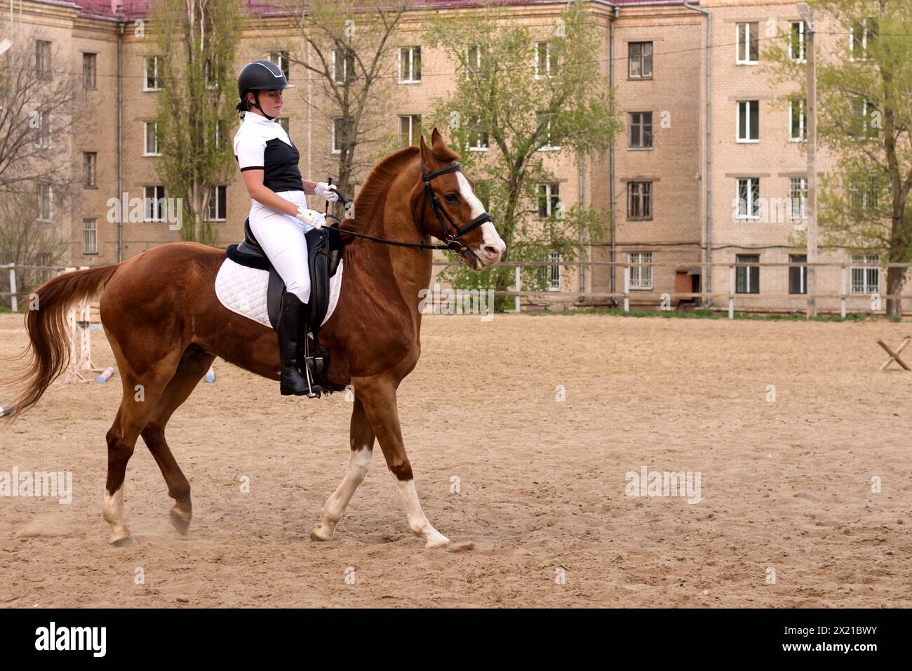 Ressage hi-res stock photography and images - Alamy