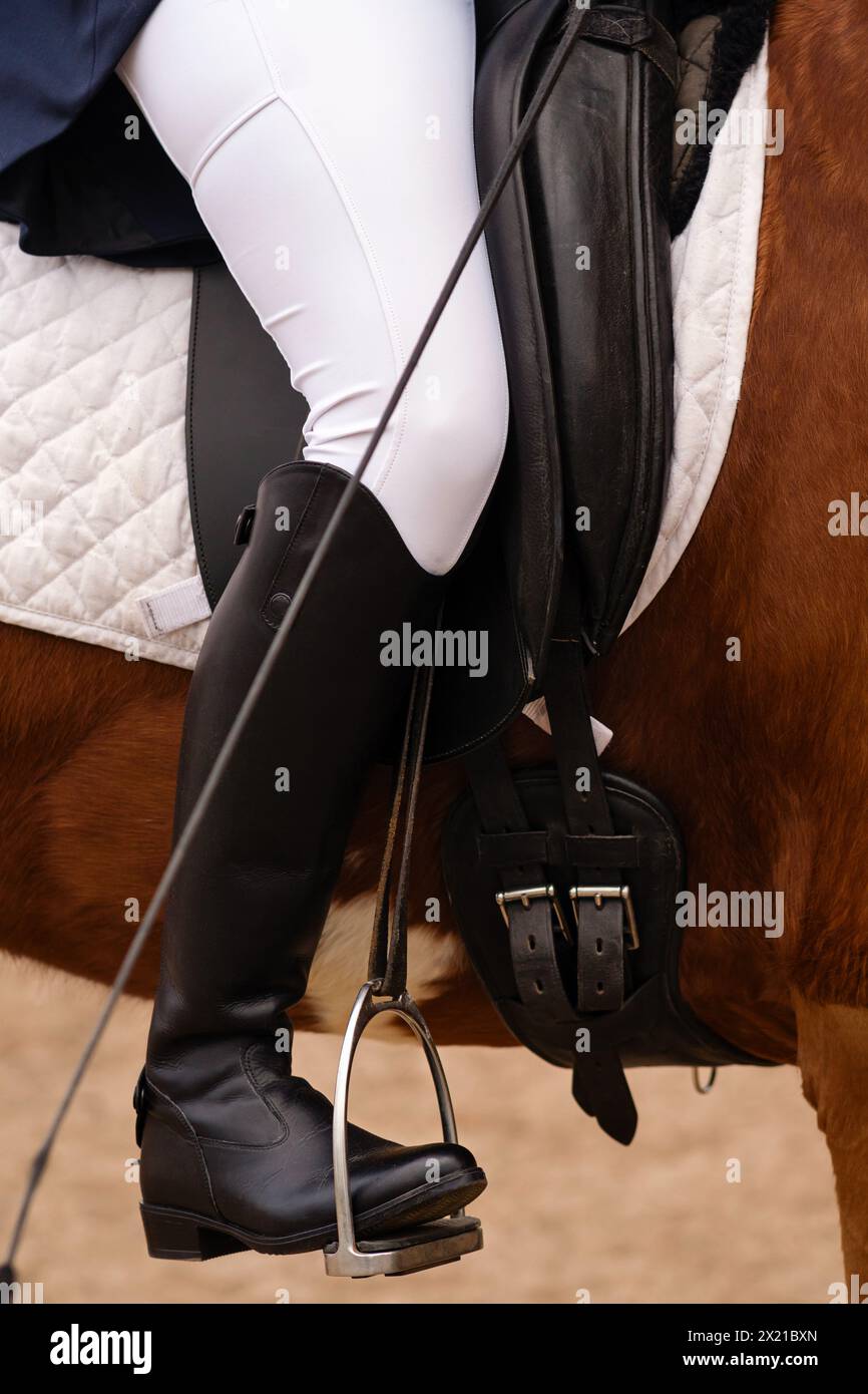 Equestrian leg in stirrup, riding attire, close-up. Dressage. Horseback ...