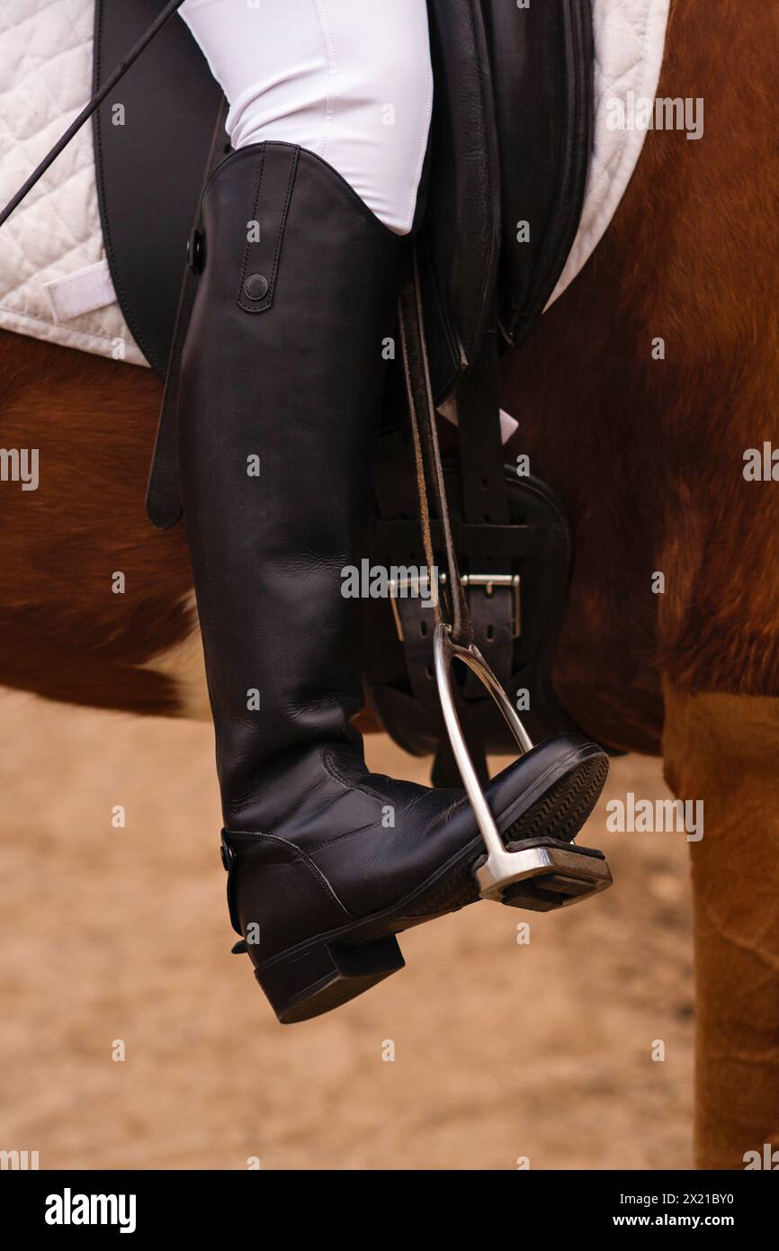 Equestrian leg in stirrup, riding attire, close-up. Dressage. Horseback ...