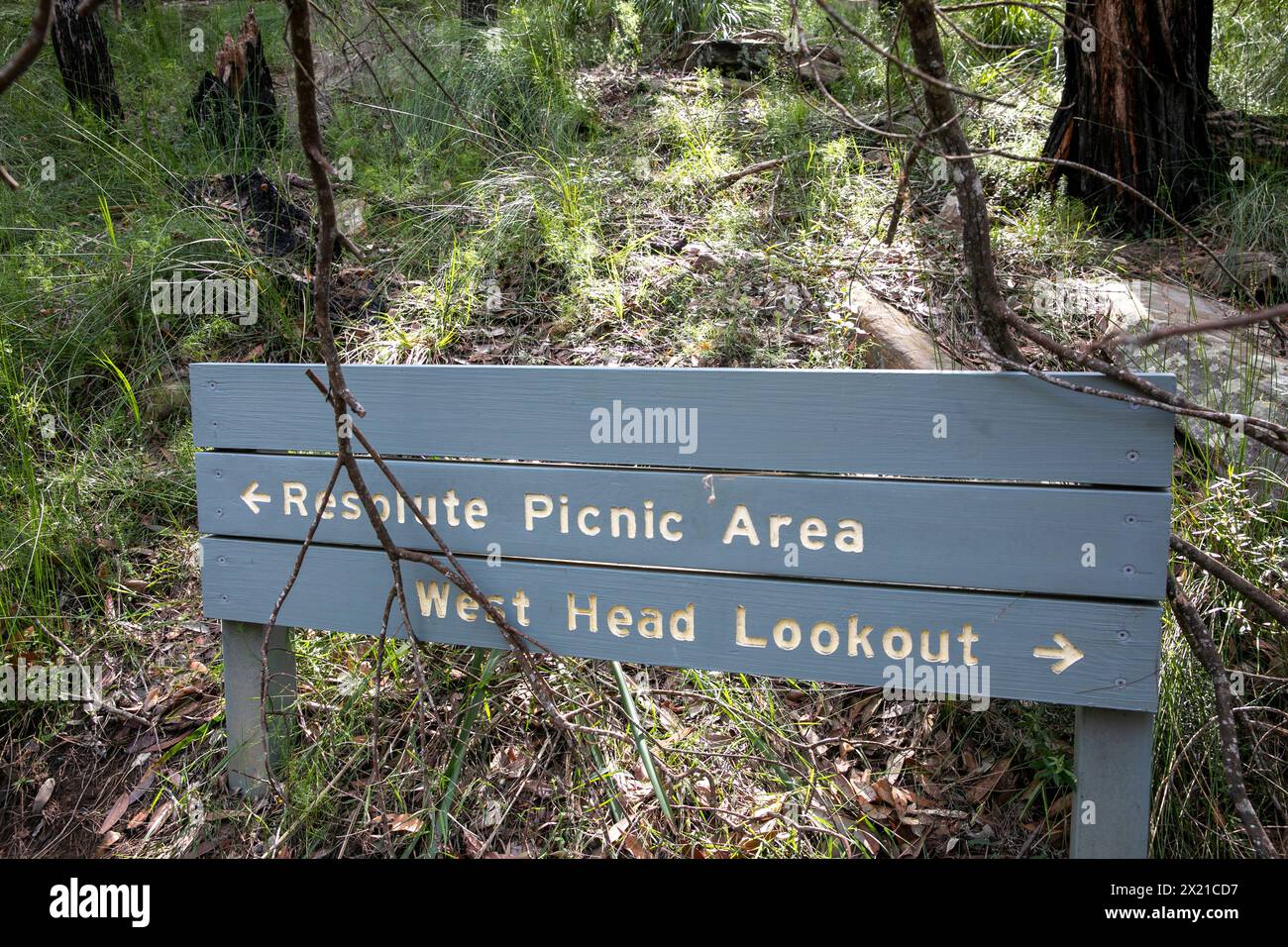 Ku-ring -gai chase national park, Red Hands track with timer sign for ...