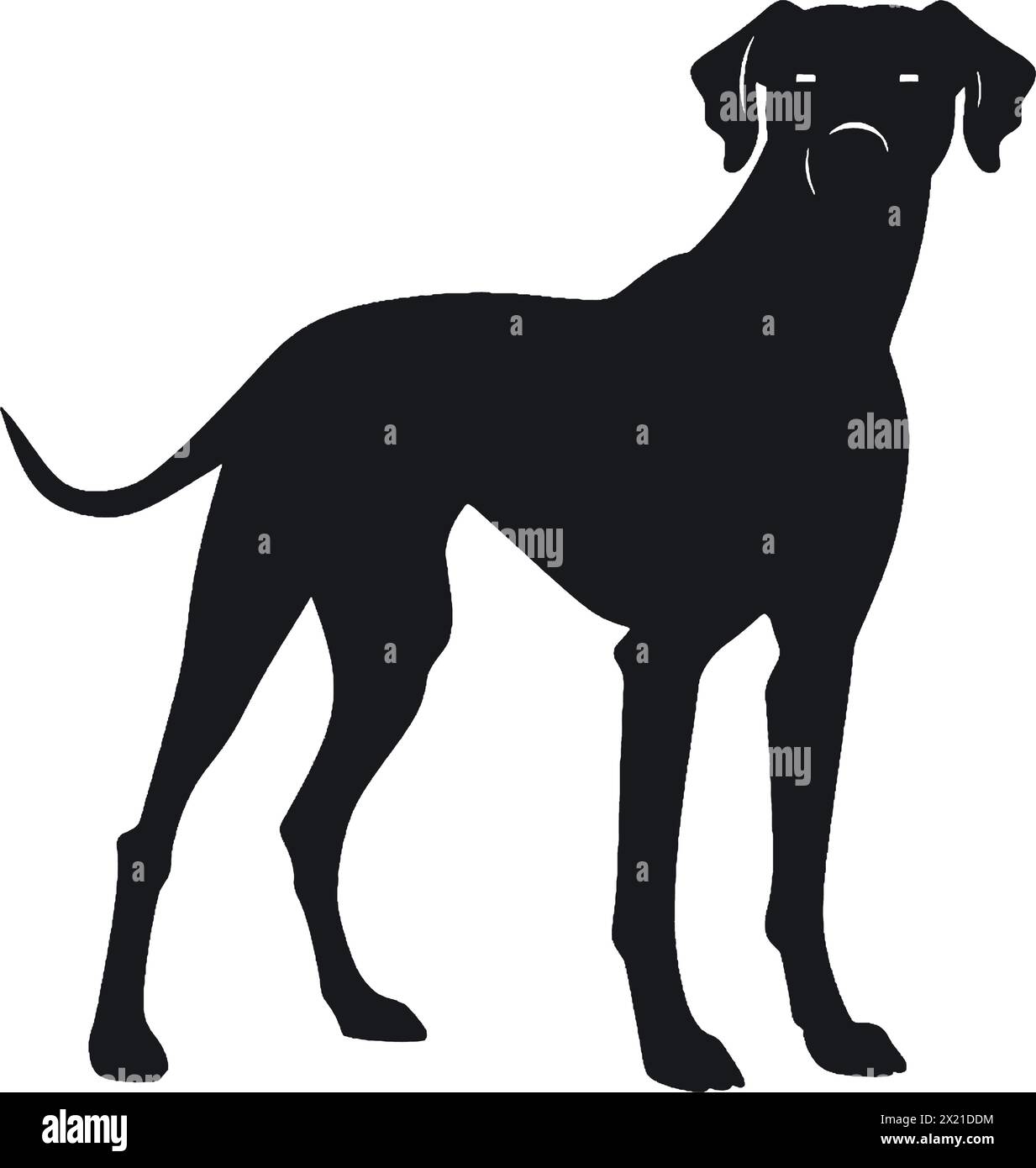 Vector illustration of a dog in black silhouette against a clean white ...