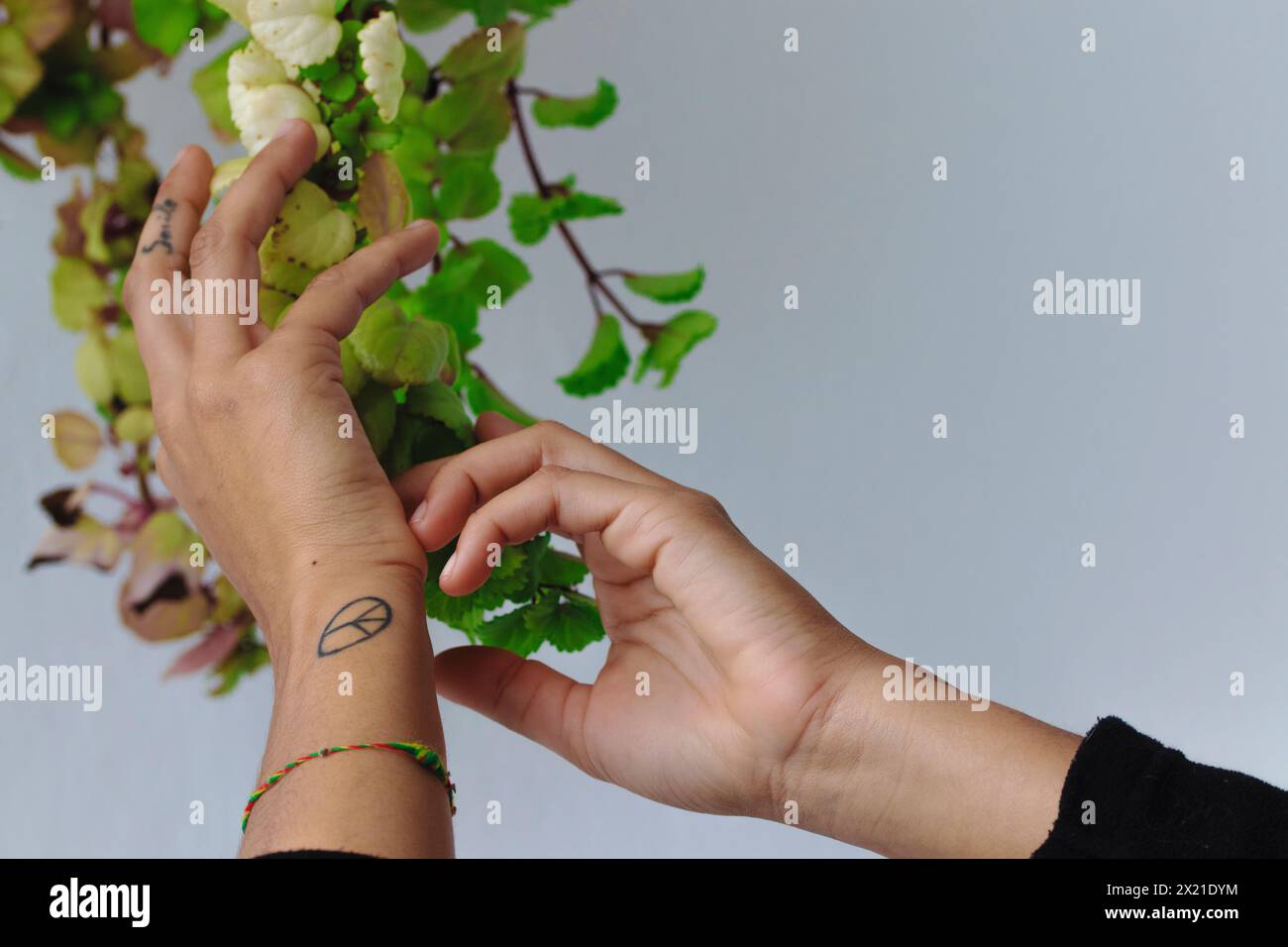 Finger touching plants hi-res stock photography and images - Alamy