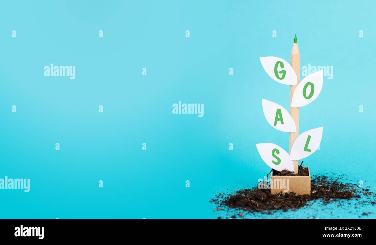 Goals, personal development, planning the future target, business ...