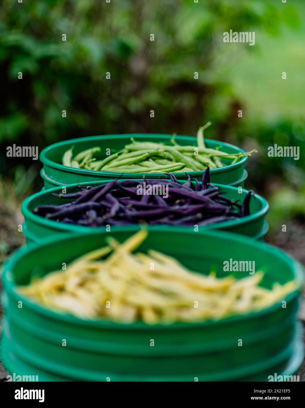 Produce prep hi-res stock photography and images - Alamy