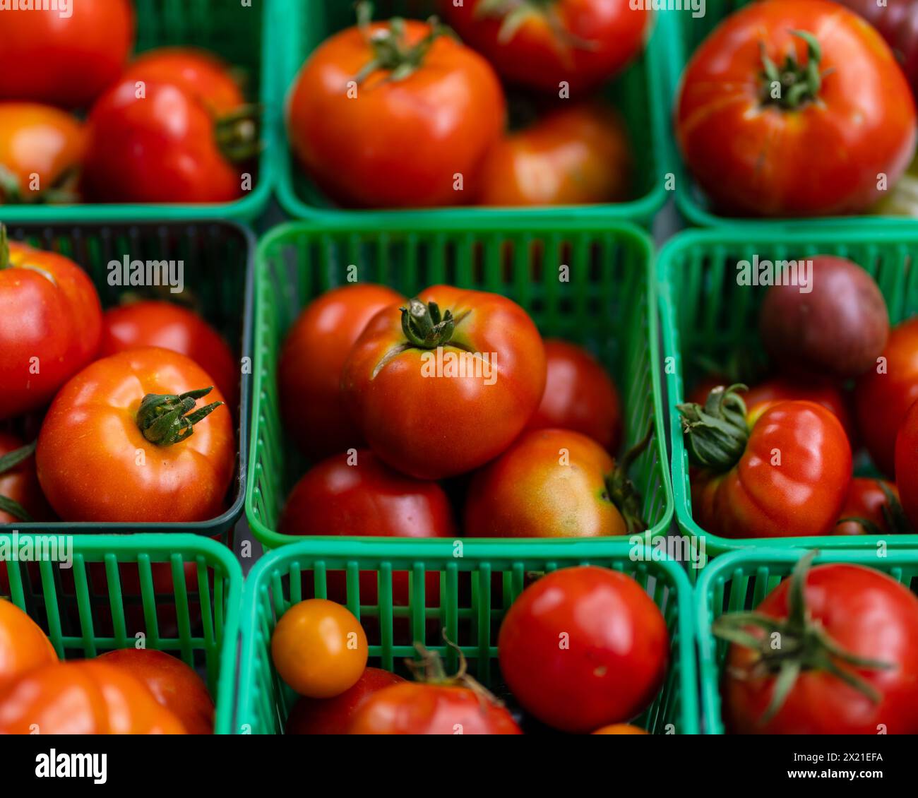 Fresh picked red tomatoes in hi-res stock photography and images - Alamy