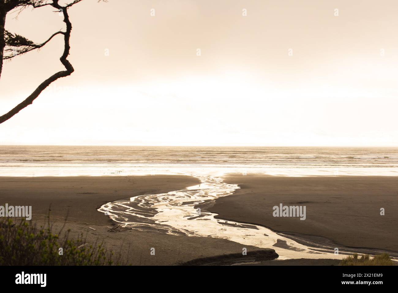 Washington state coast sunset hi-res stock photography and images - Alamy