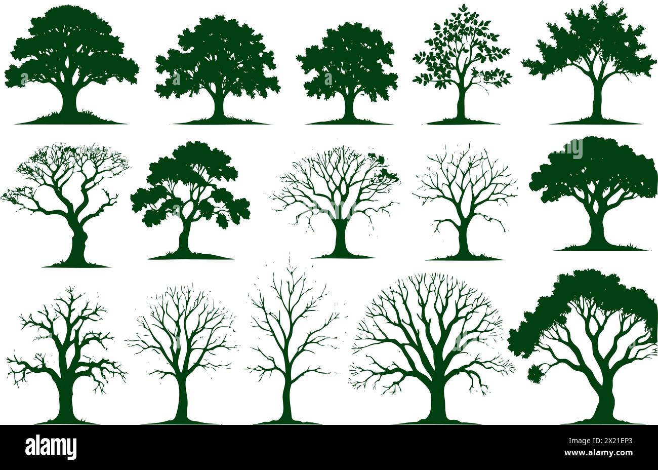 Stages of life wood Stock Vector Images - Alamy