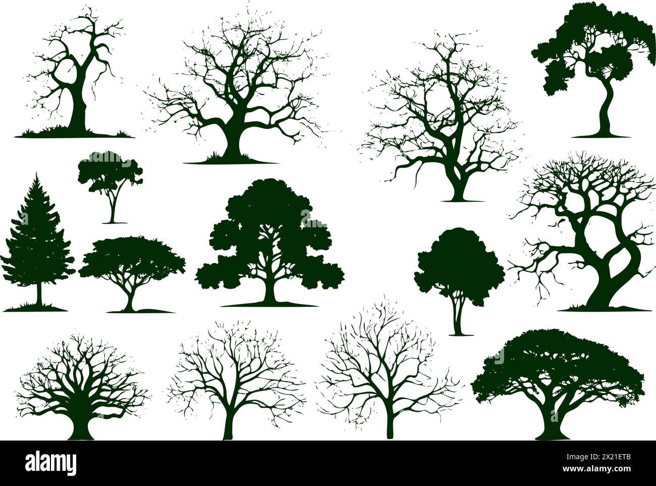 A collection of trees in various stages of growth, from young saplings ...
