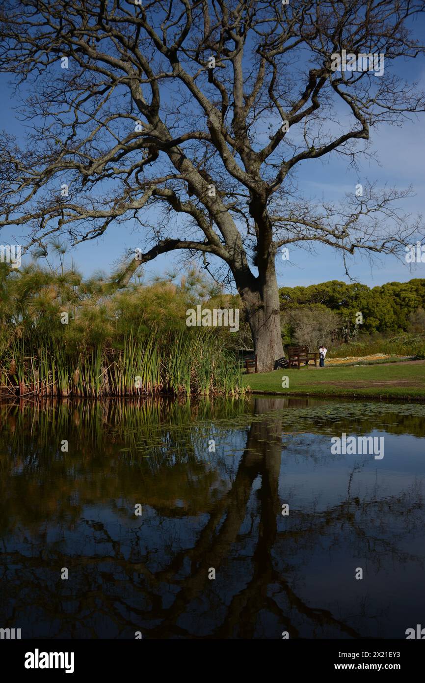 South African Landscape Stock Photo - Alamy