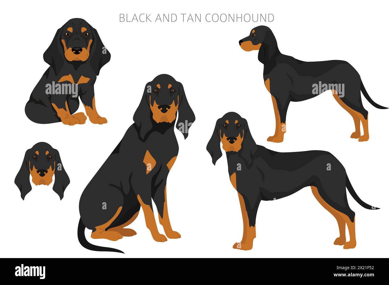 Black and tan coonhound clipart. Different coat colors and poses set ...