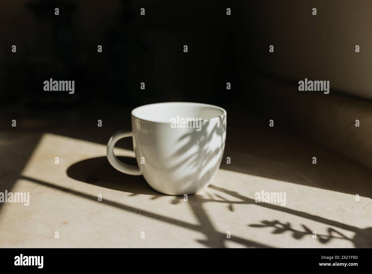 White coffee cup sits on countertop with dramatic shadows Stock Photo ...