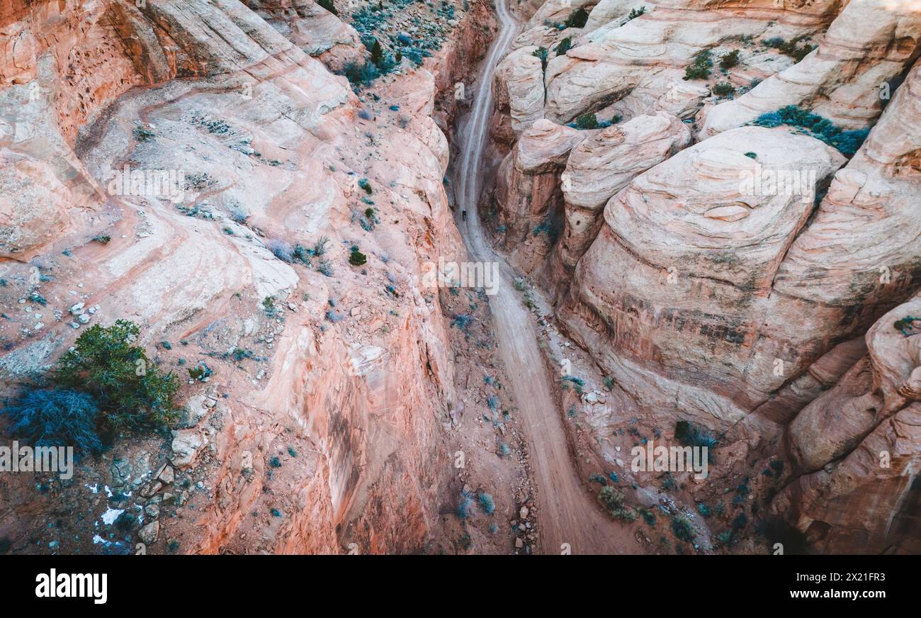 Cyclist riding through long hi-res stock photography and images - Alamy