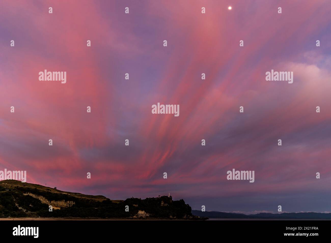 Beach with pink sunset and moon in Nelson, New Zealand Stock Photo - Alamy