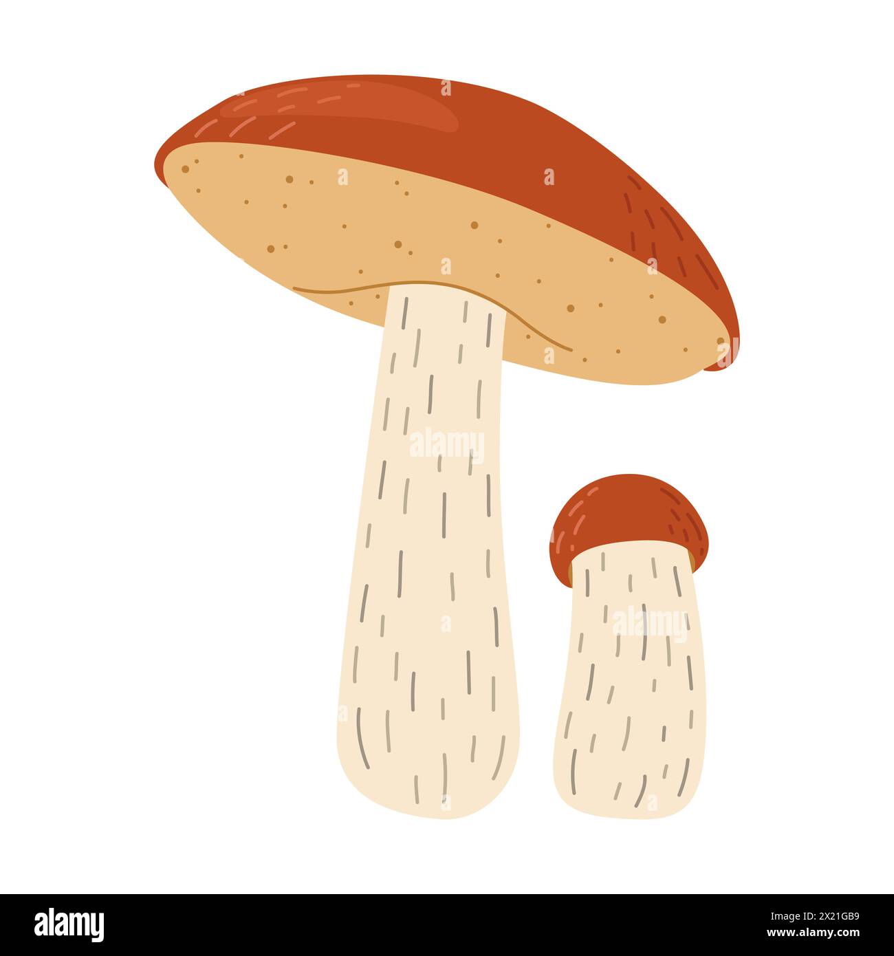 Orange birch bolete mushroom. Leccinum fungi. Edible forest mushrooms ...