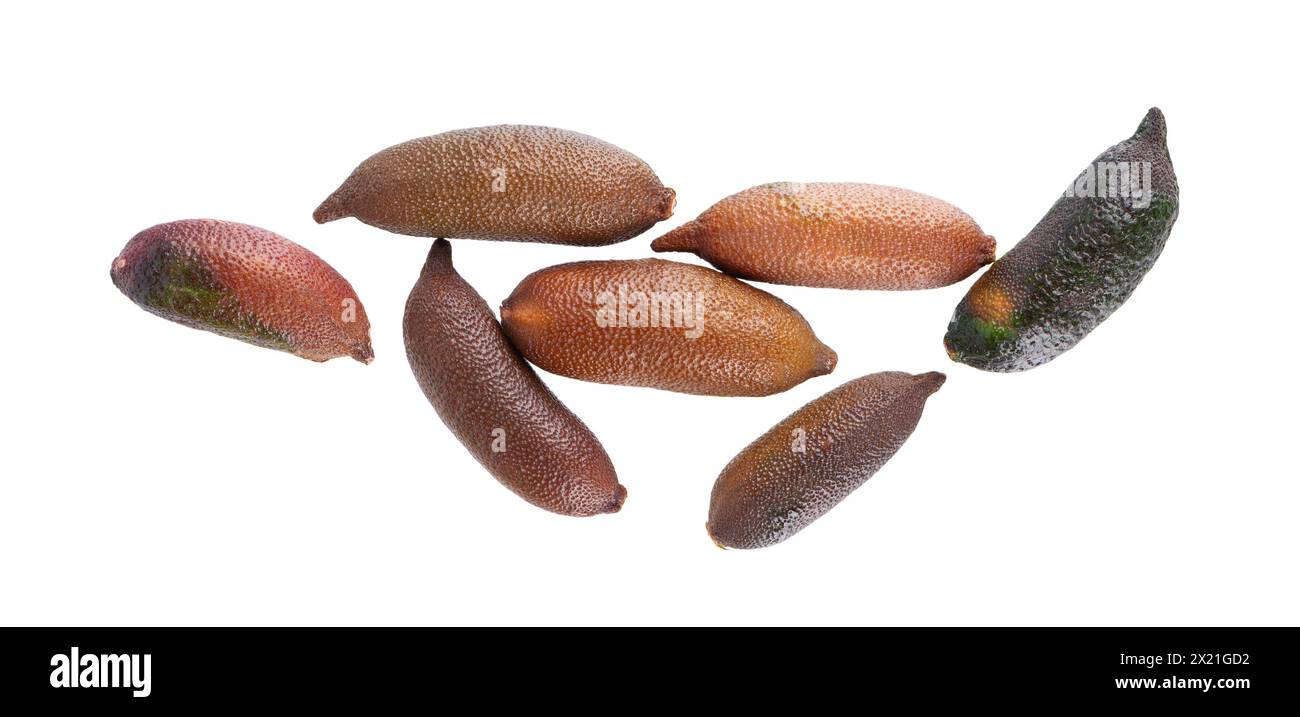 Fresh finger limes isolated on white background. Caviar lime. Fruits ...