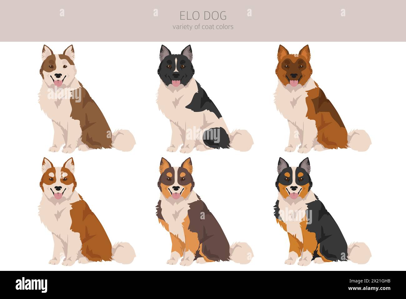 Dog breed colors chart hi-res stock photography and images - Alamy