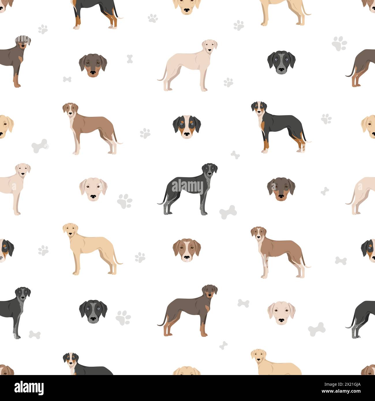Eurohound seamless pattern. Different coat colors set. Vector ...