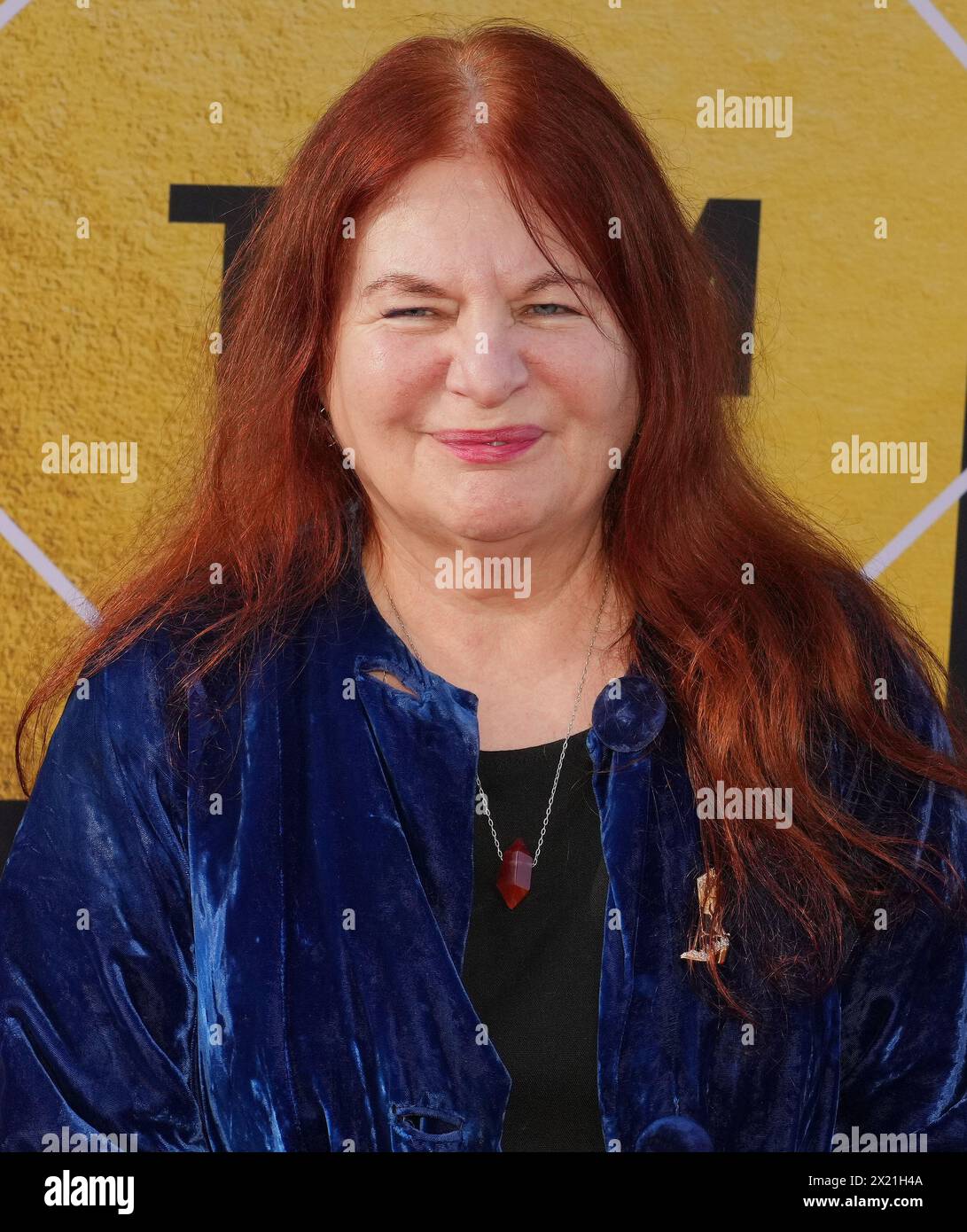 Allison Anders arrives at the 2024 TCM Classic Film Festival Opening ...