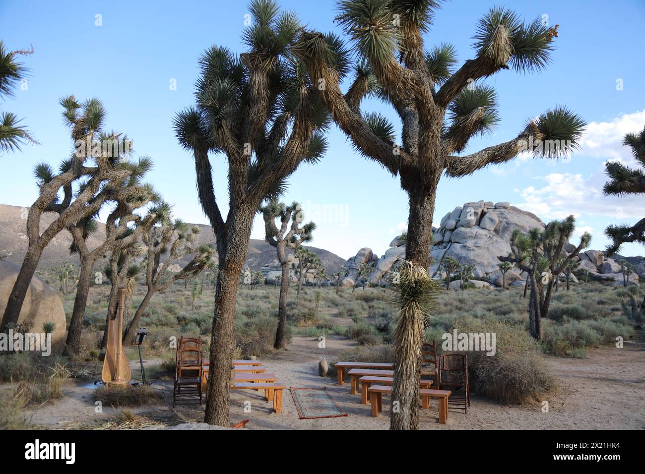 Tree setup hi-res stock photography and images - Alamy