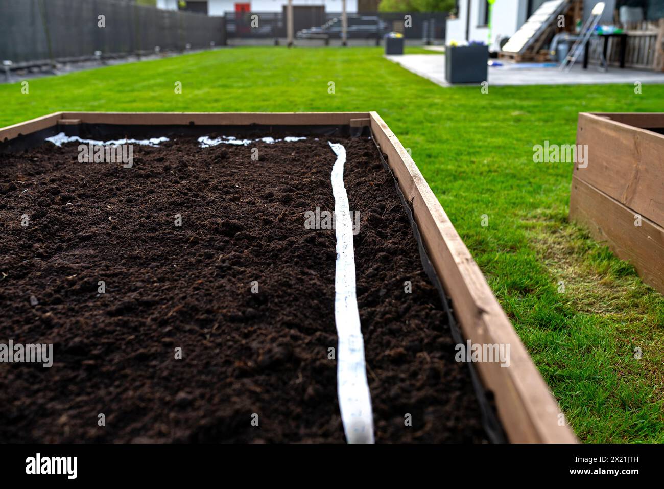 Sowing seeds on a belt in a wooden box lined with agrotextile from the ...