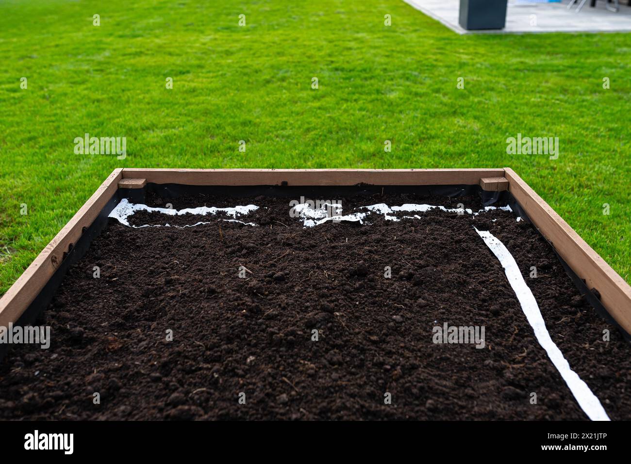 Sowing seeds on a belt in a wooden box lined with agrotextile from the ...