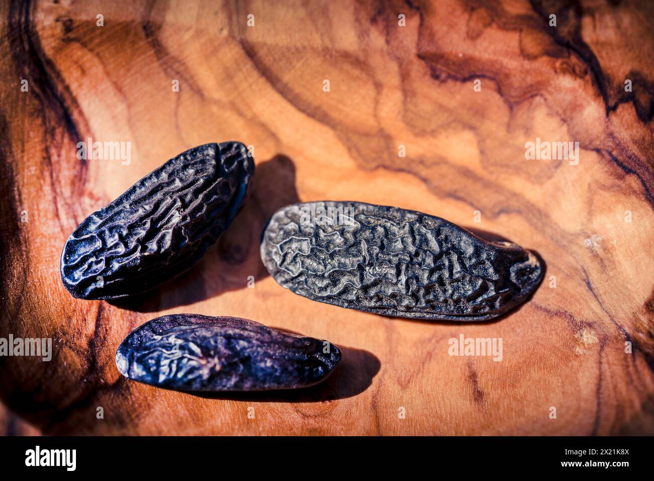 tonka bean, tonquin bean, Dutch tonka-bean (Dipteryx odorata), Dried ...