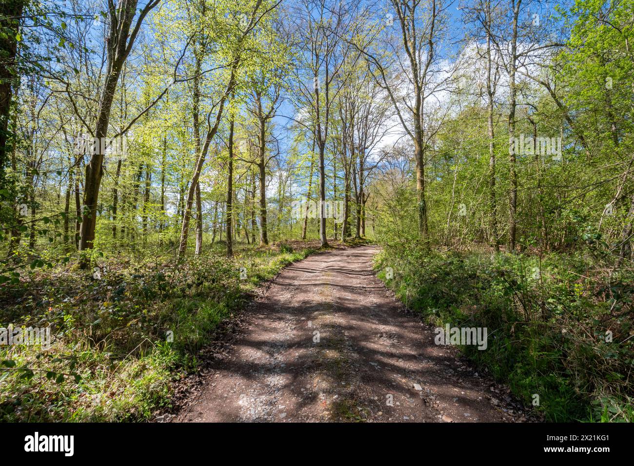 The Hangers Way long distance trail, footpath through countryside and ...