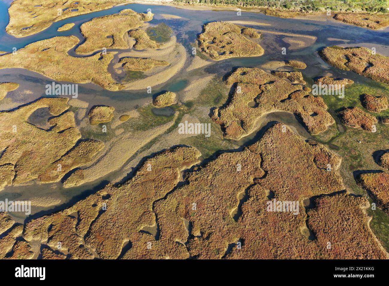 Ria Formosa lagoon with meandering river course at low tide, aerial ...