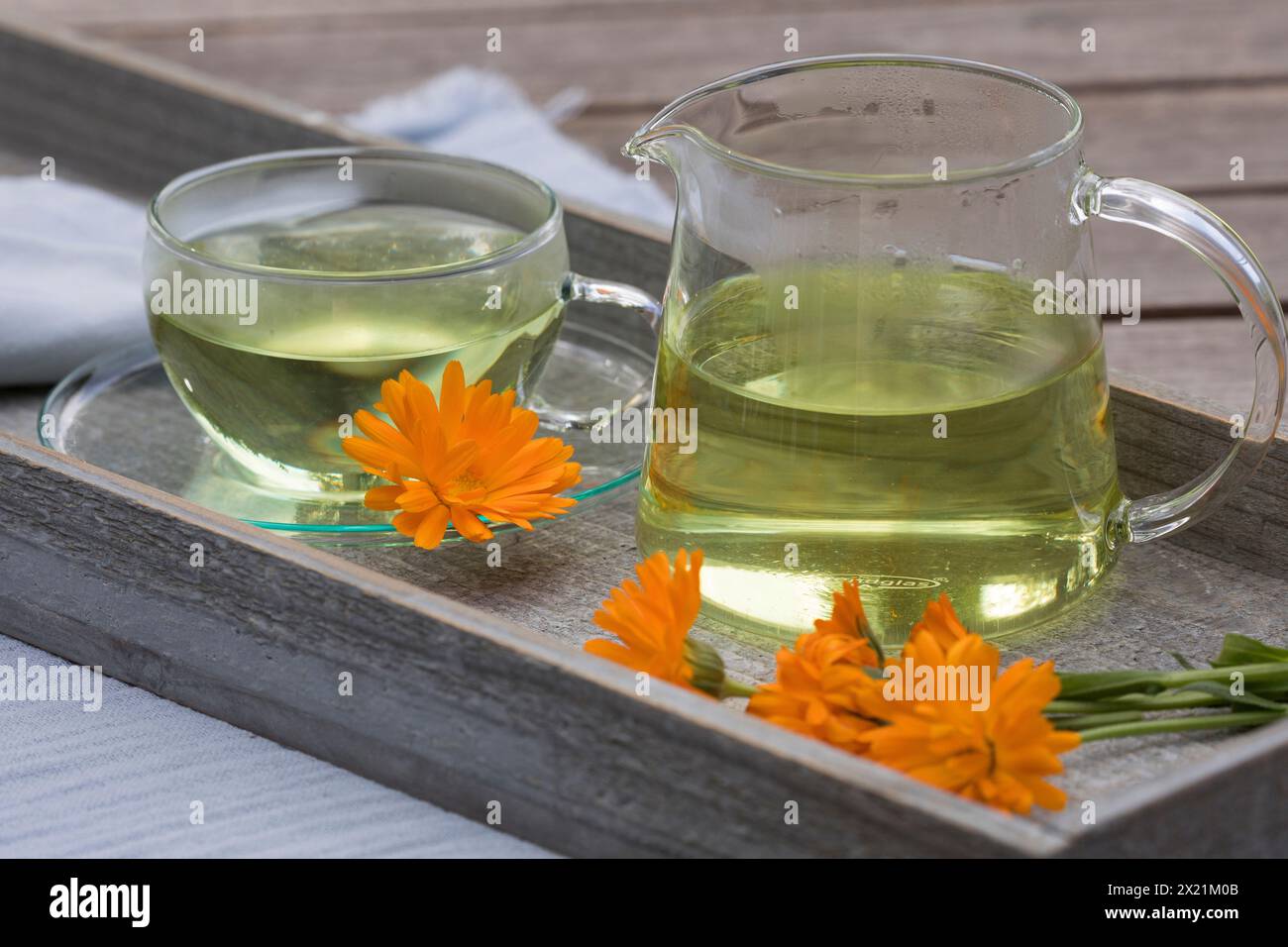 garden-pot marigold, pot marigold, common marigold, ruddles, Mary's ...