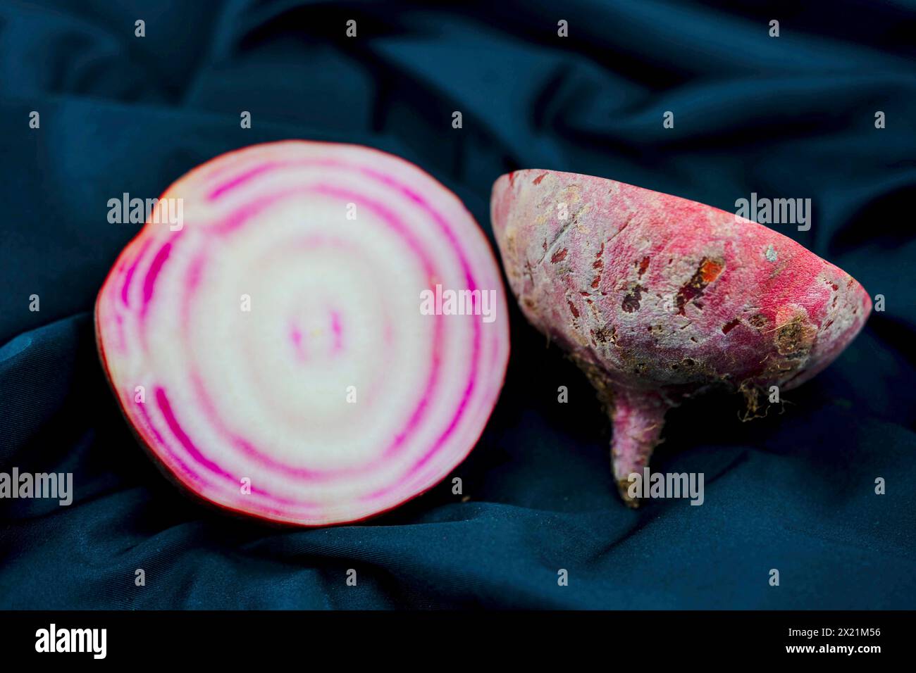 Root beet (Beta vulgaris), sliced turnip Stock Photo - Alamy