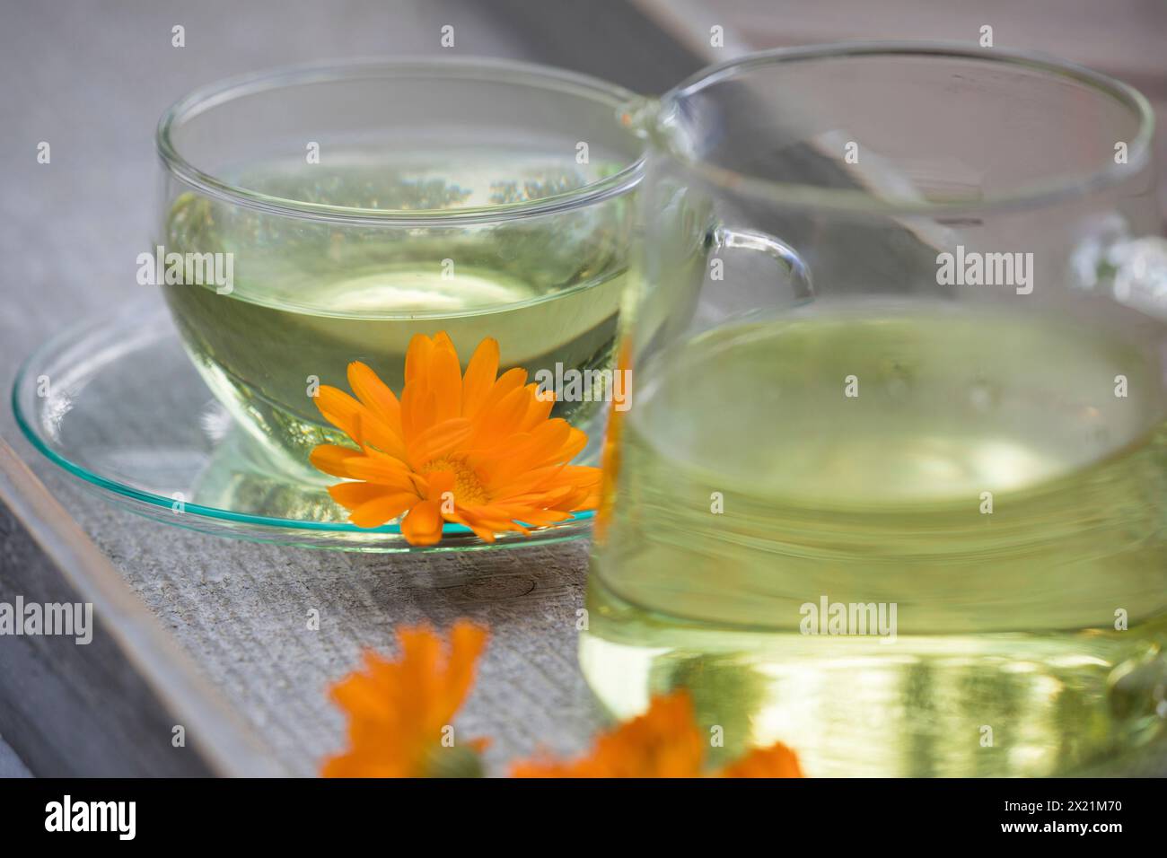 garden-pot marigold, pot marigold, common marigold, ruddles, Mary's ...