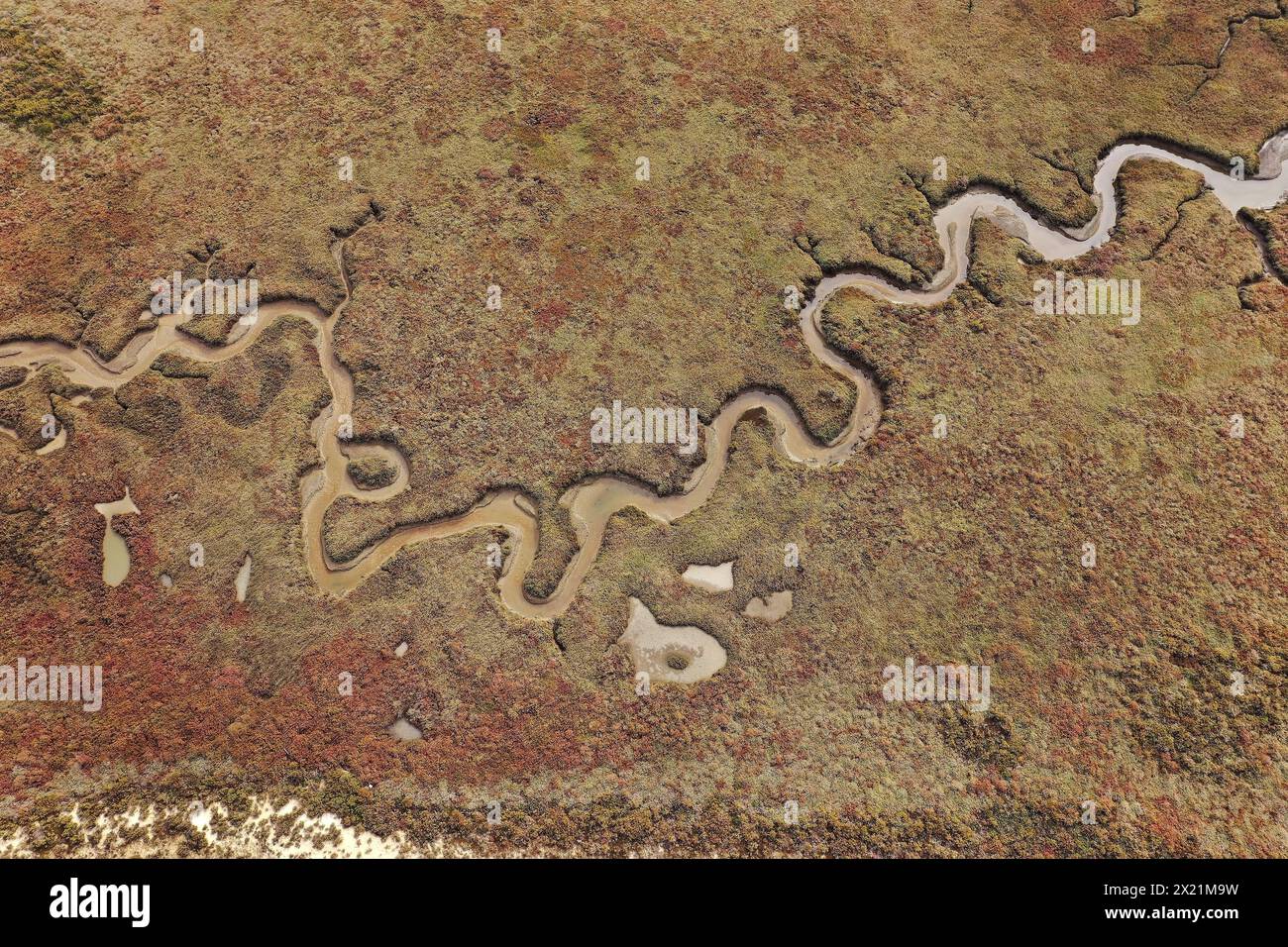 Sado estuarium hi-res stock photography and images - Alamy