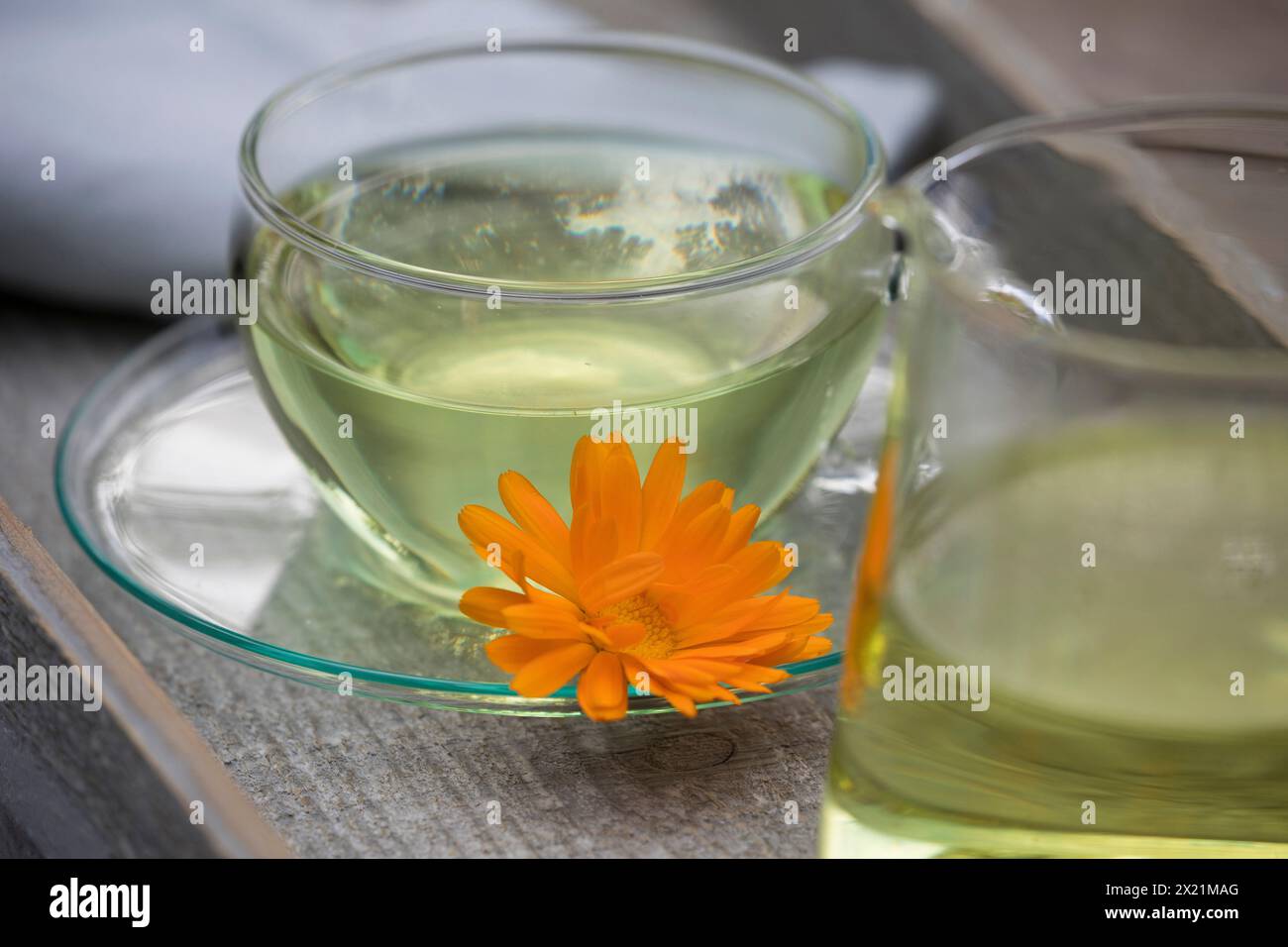 garden-pot marigold, pot marigold, common marigold, ruddles, Mary's ...