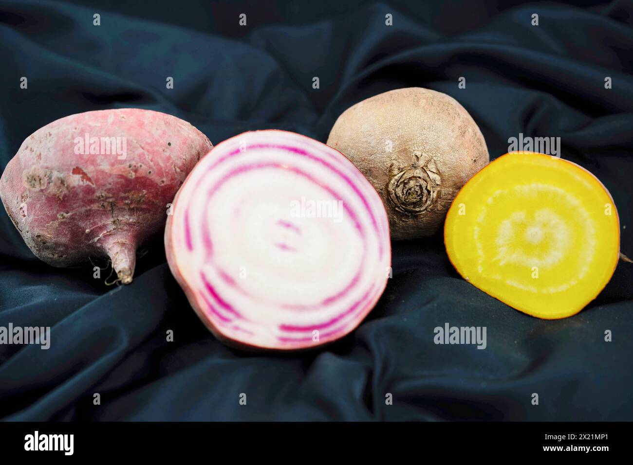 Root beet (Beta vulgaris), cut through turnip, white and yellow ...