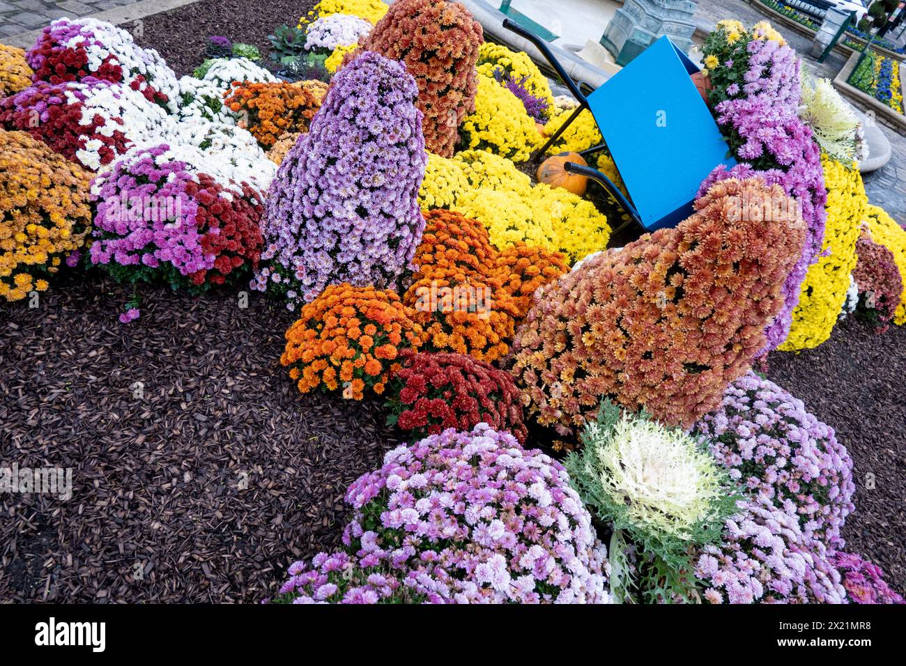 Set de colores hi-res stock photography and images - Alamy