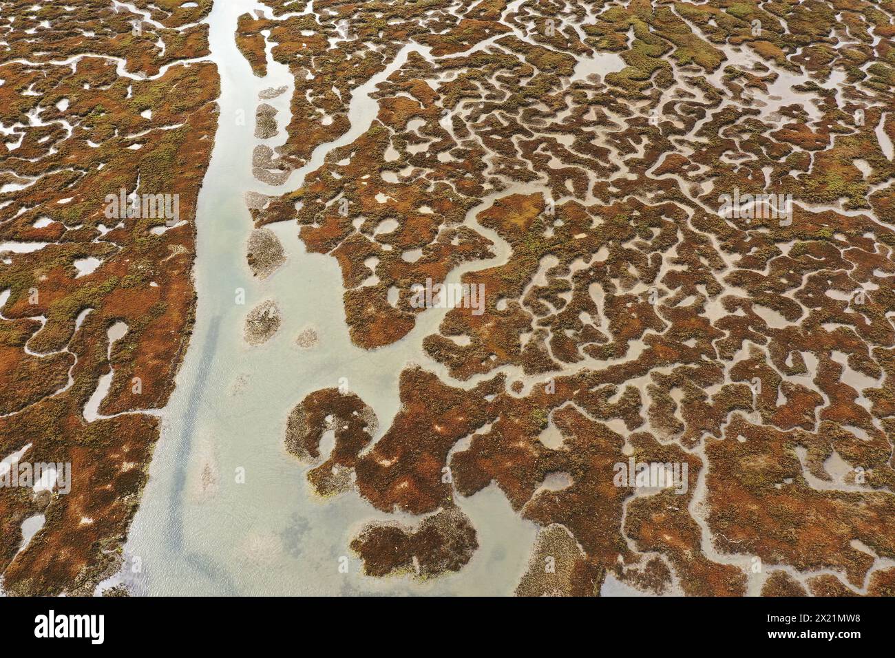 Ria Formosa lagoon with meandering river course at low tide, aerial ...
