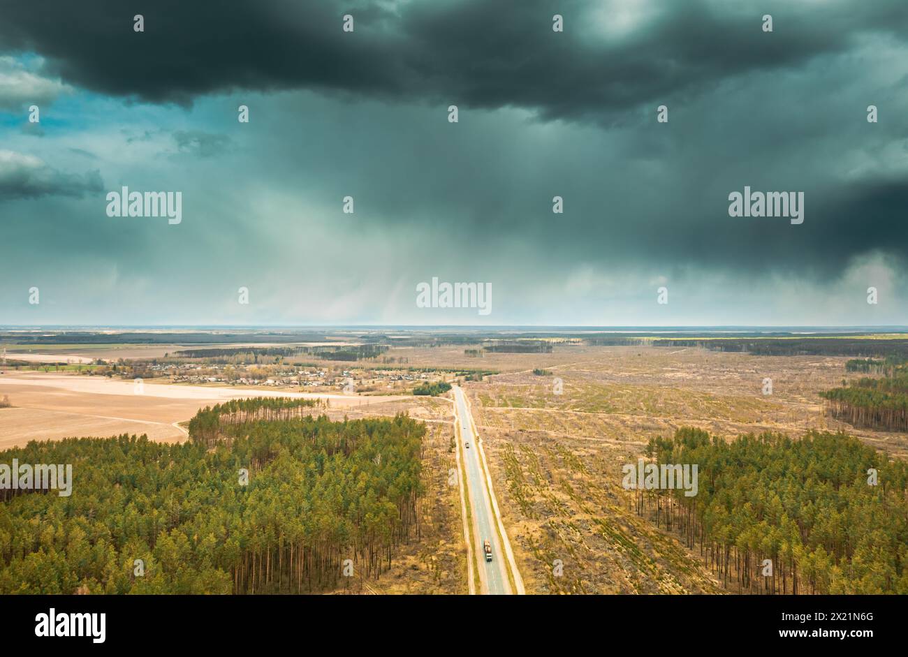 Forest Deforestation Area Landscape. Concept Of Save Nature. Forest ...