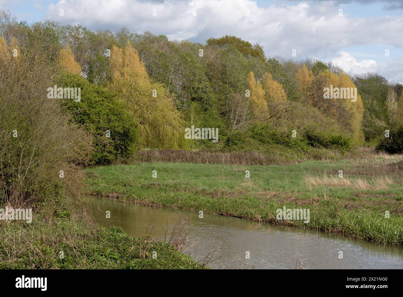 The River Leam at Newbold Comyn, Leamington Spa, Warwickshire, England ...