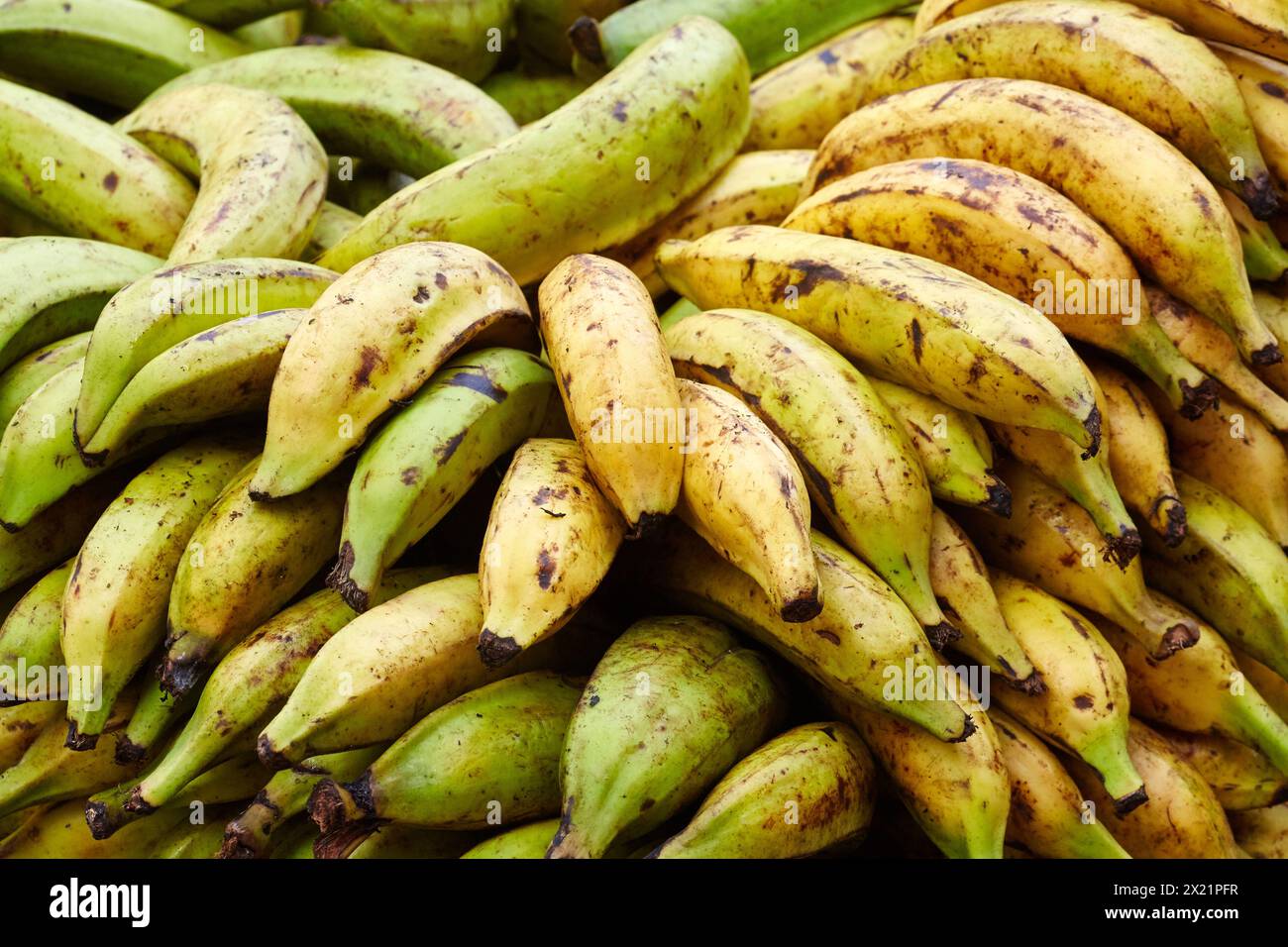 Bananas, Fruits, Cartagena de Indias, Bolivar, Colombia, South America ...