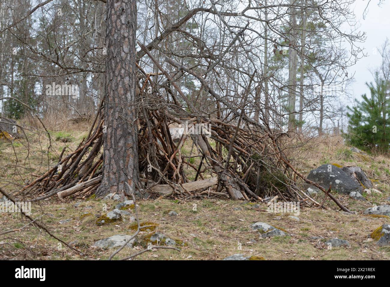 Den building forest hi-res stock photography and images - Alamy
