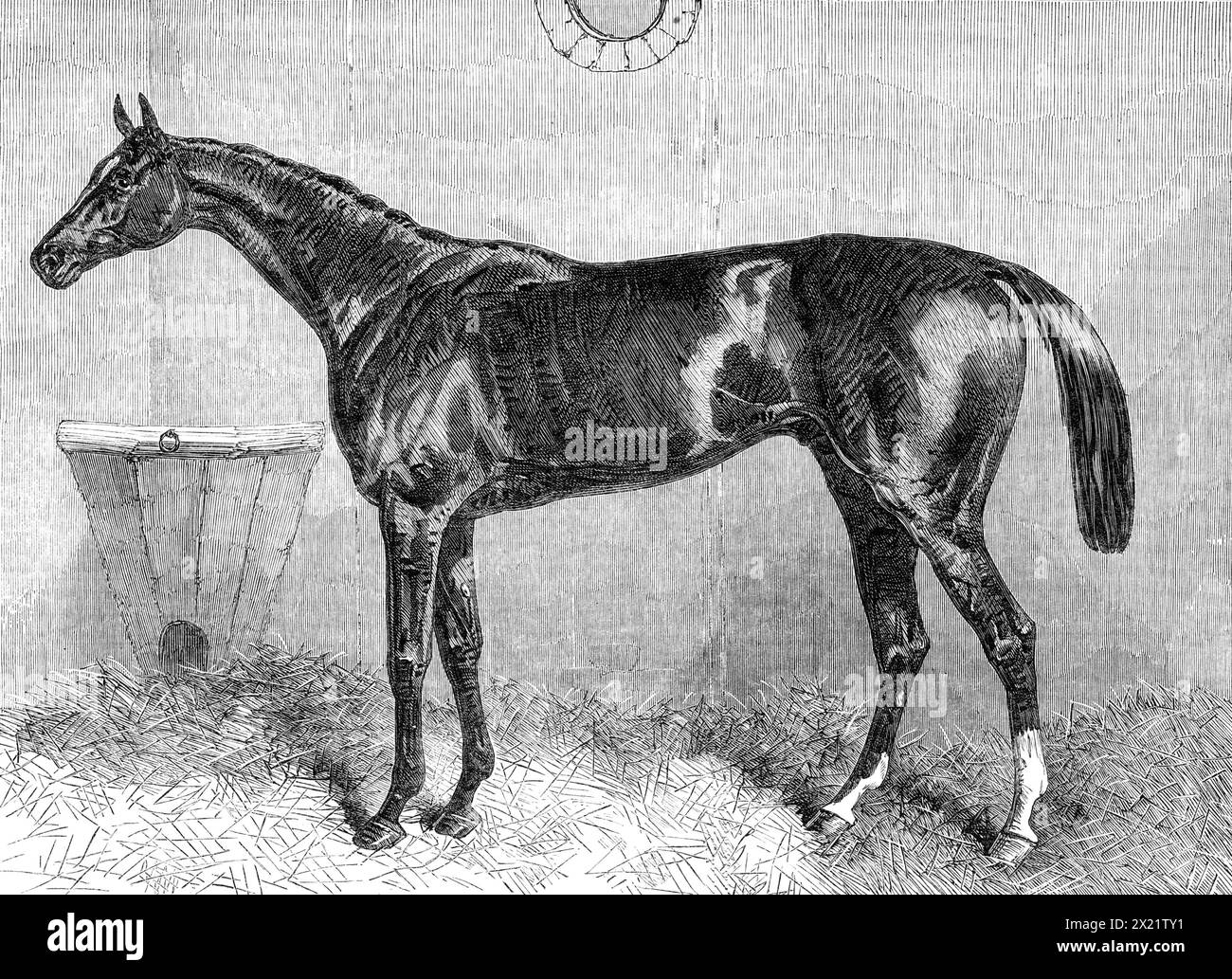 Sixteen one hi-res stock photography and images - Alamy