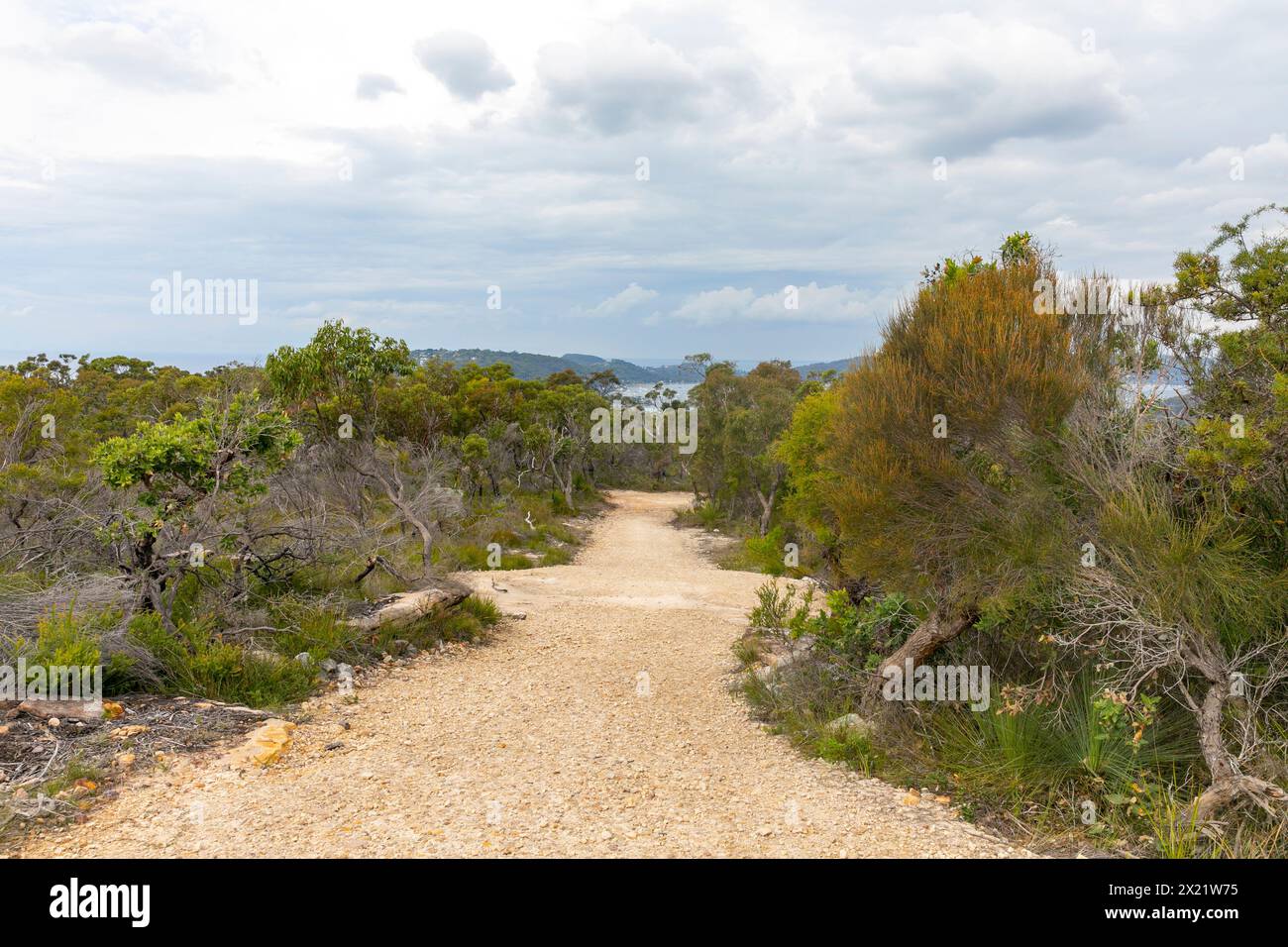 Ku-Ring-Gai chase national park, the Resolute loop walking trail at ...