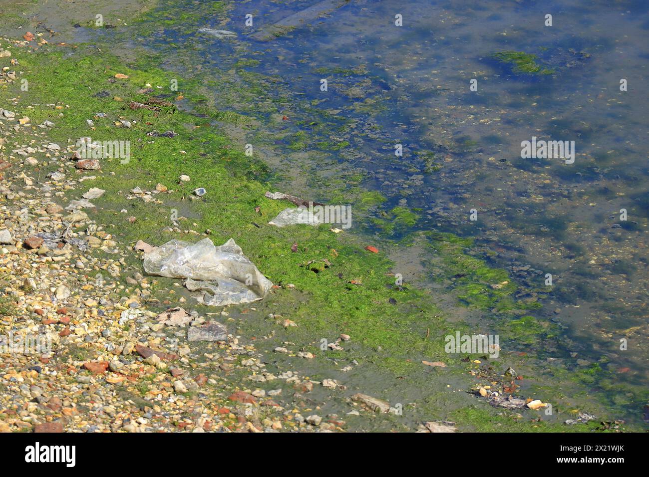 Gosport, Hampshire, England. 1 April 2024. Plastic waste, pollution ...