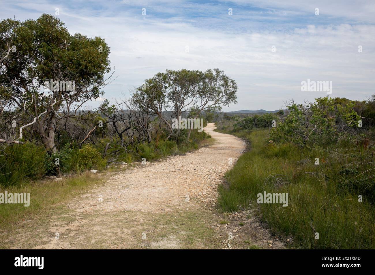 Ku-Ring-Gai chase national park, the Resolute loop walking trail at ...