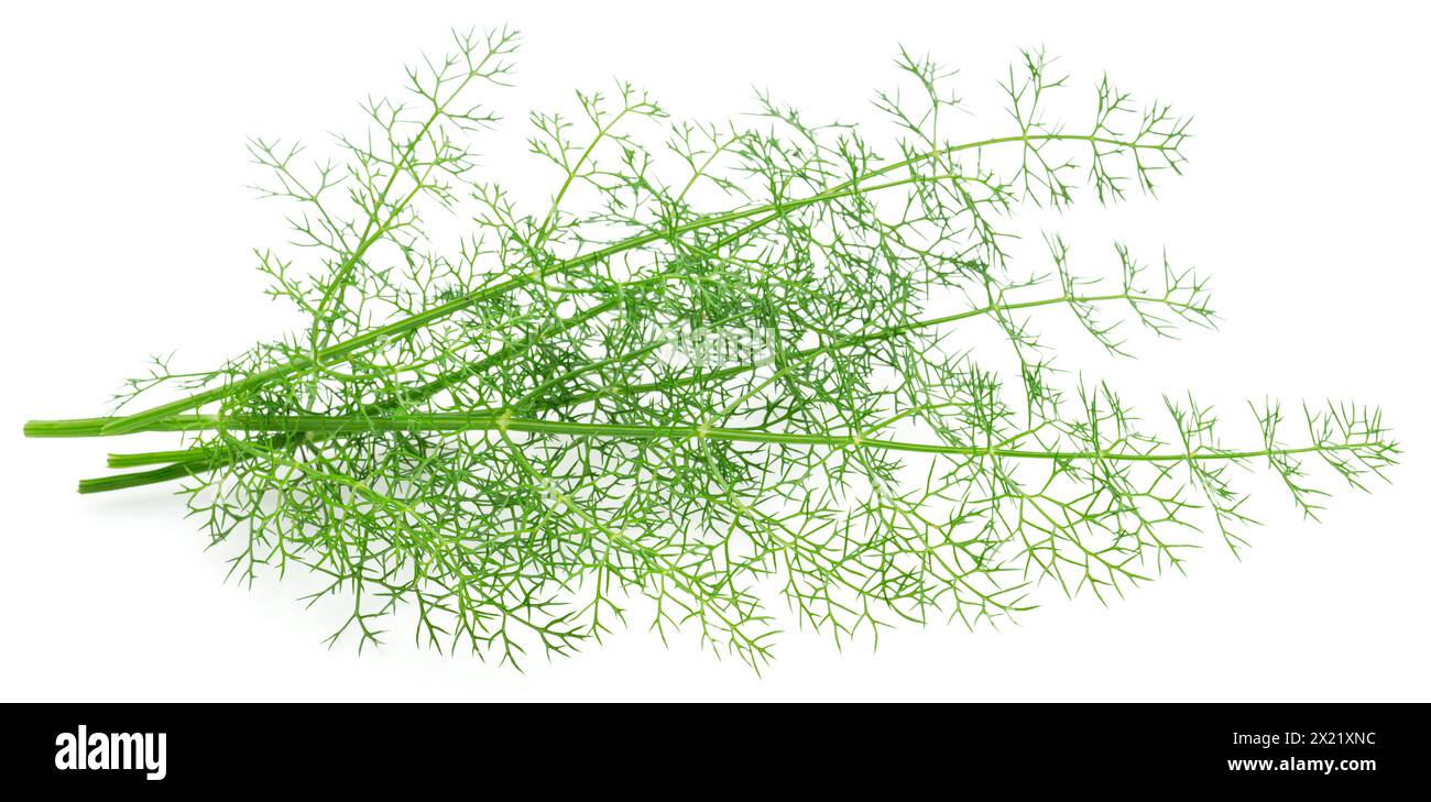 Green dill twigs isolated on white background Stock Photo - Alamy