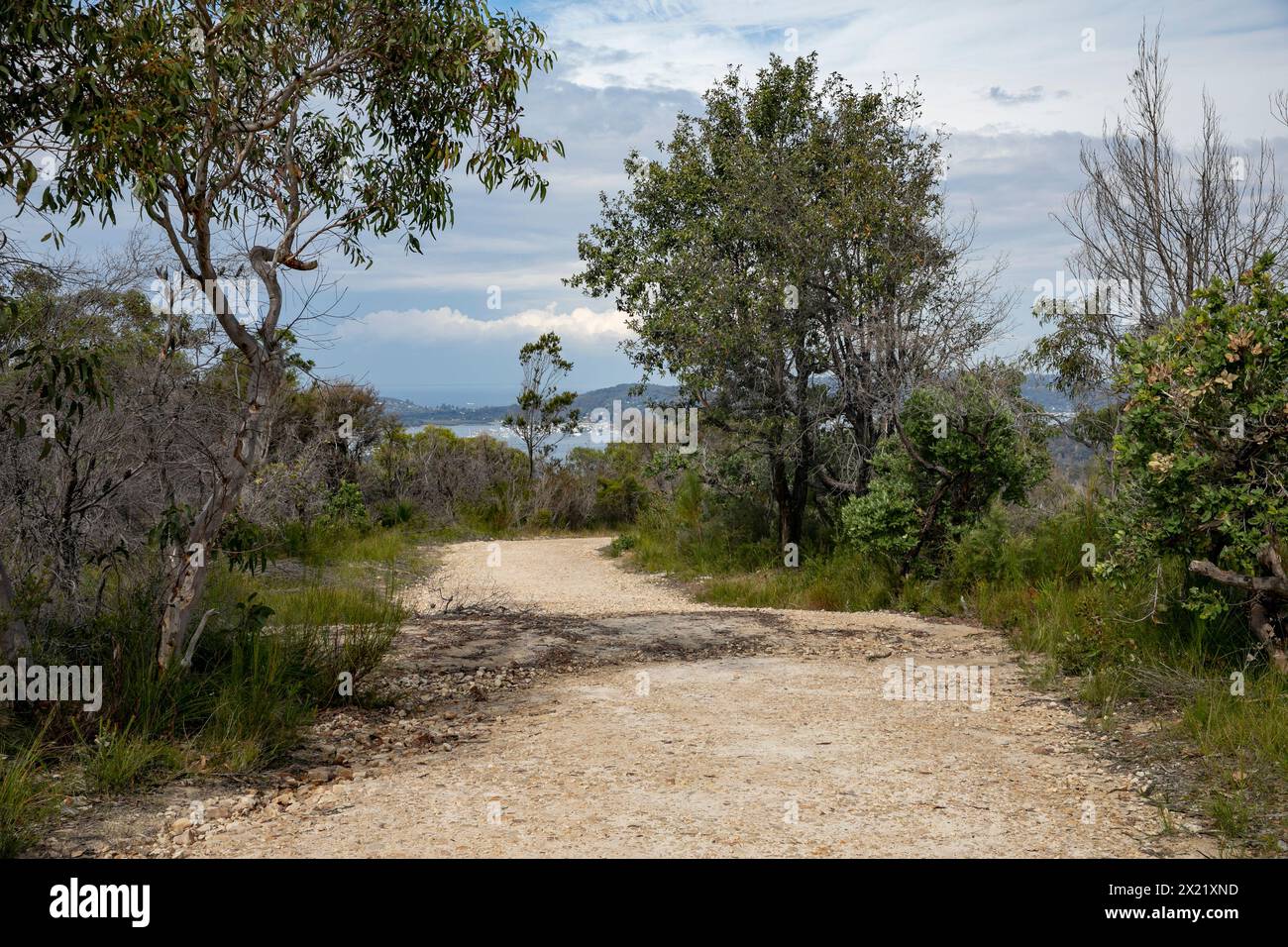 Ku-Ring-Gai chase national park, the Resolute loop walking trail at ...