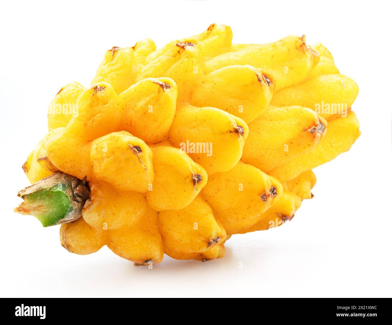 Yellow pitahaya or yellow dragon fruit on white background Stock Photo ...