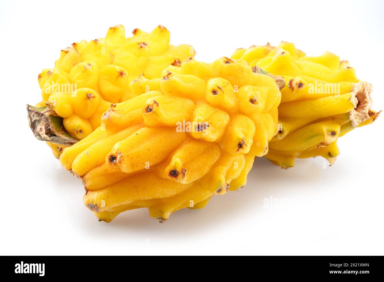 Yellow pitahaya or yellow dragon fruits on white background Stock Photo ...