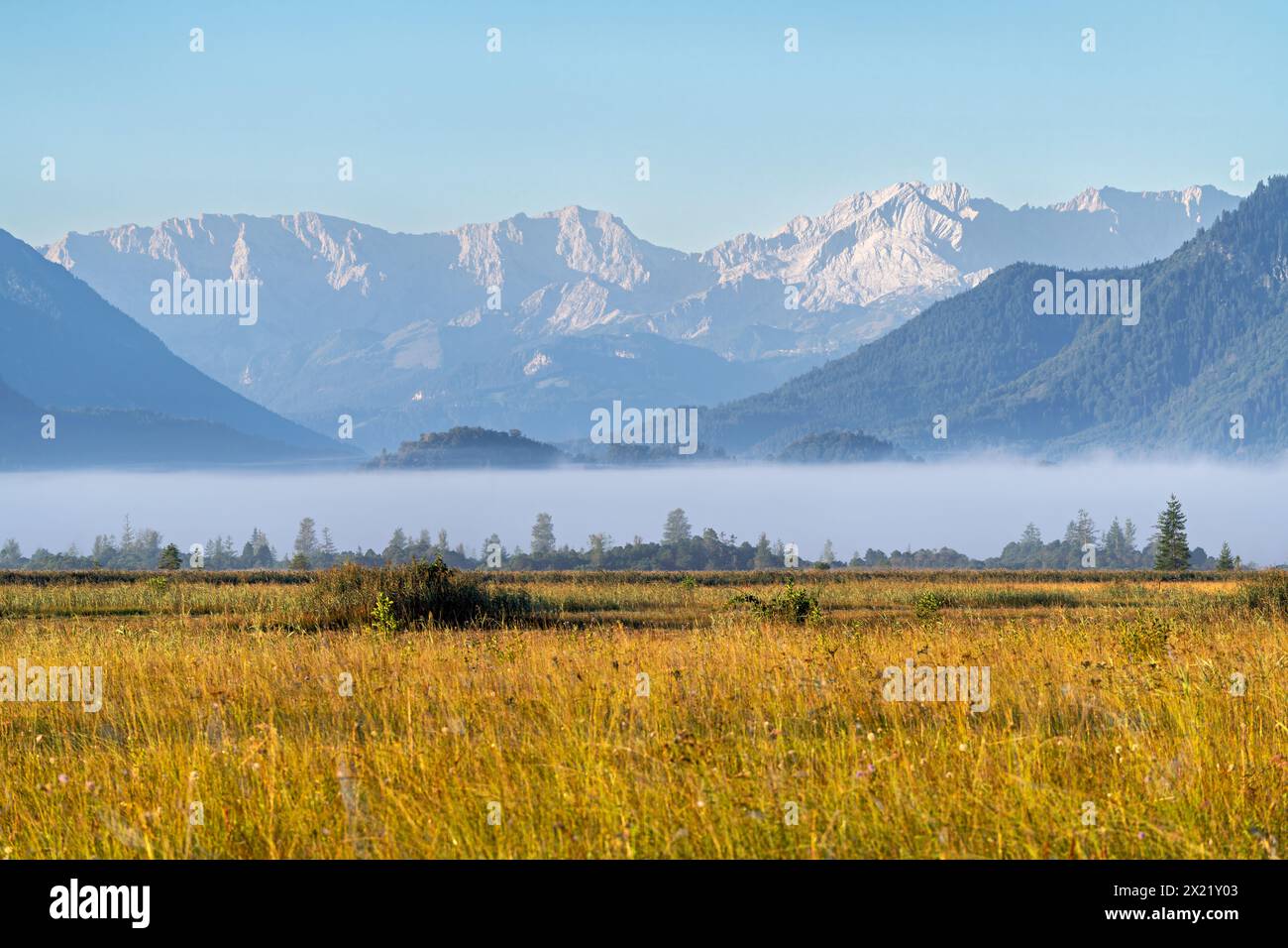 Early autumn morning in Murnauer Moos, Murnau, Bavaria, Germany, Europe ...
