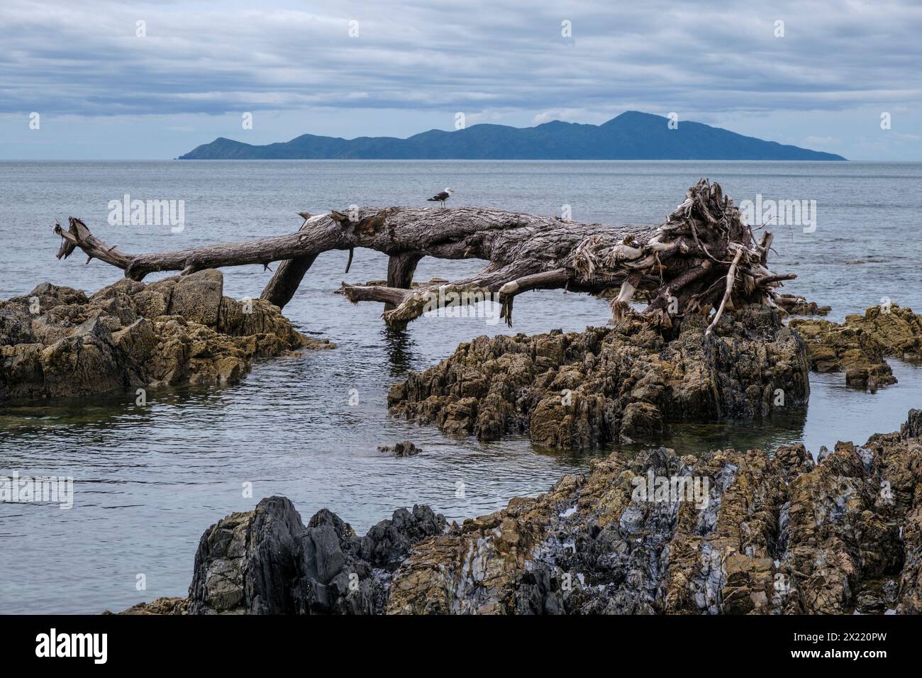 Pukerua Bay and Kapiti Island, Porirua, Wellington Region, Kapiti Coast ...